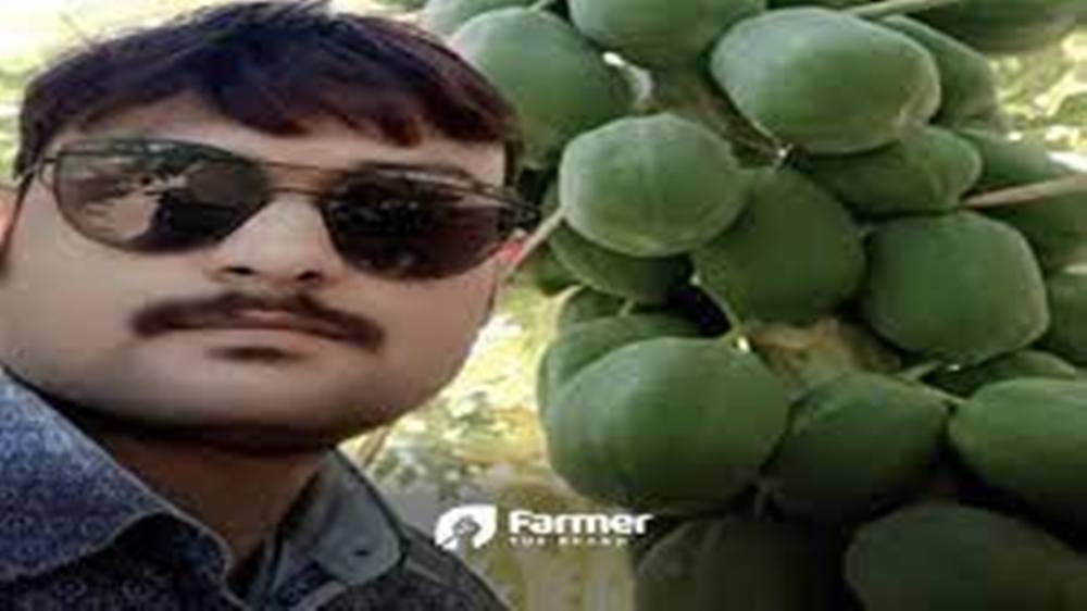 ખેતીની આ ટેકનિકથી ખેડૂત બન્યો અમીર! ઓછા સમયમાં પાકી જાય છે પાક, થાય છે ...