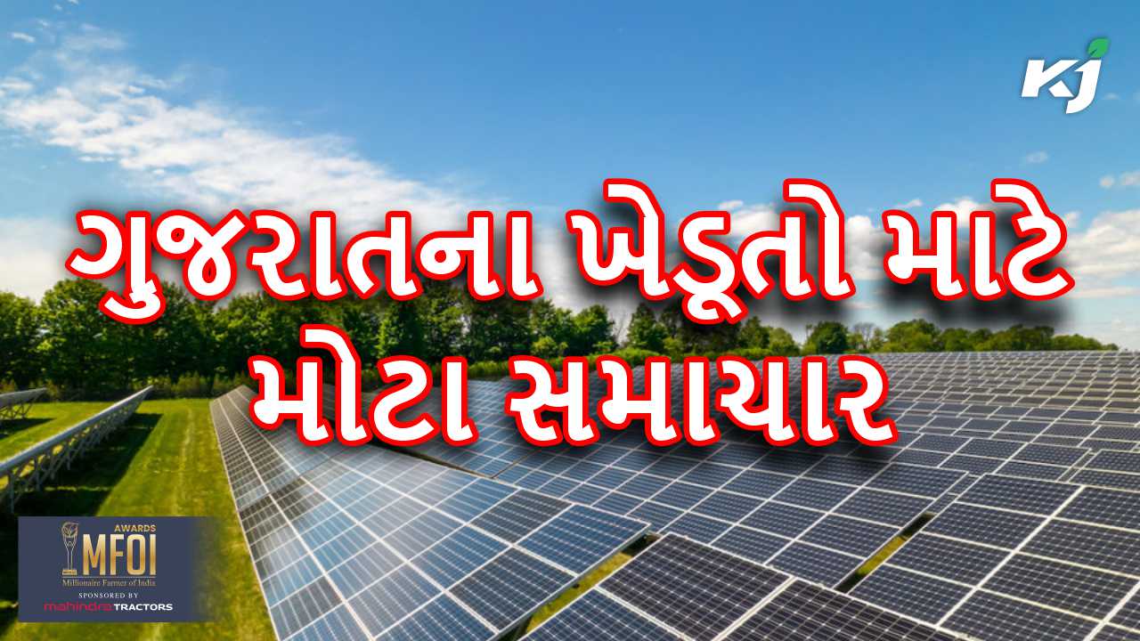 સોલર પેનલ માટે ગુજરાત સરકાર લઈને આવી નવી પૉલિસી