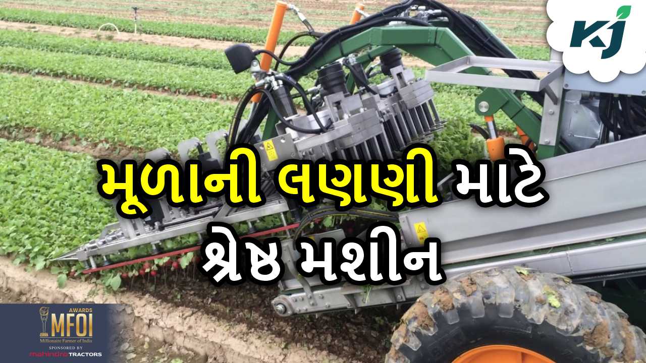Machine for Radish Farming: આ મશીન થકી ઝડપથી થઈ જશે મૂળાની લણણી, જાણો ...
